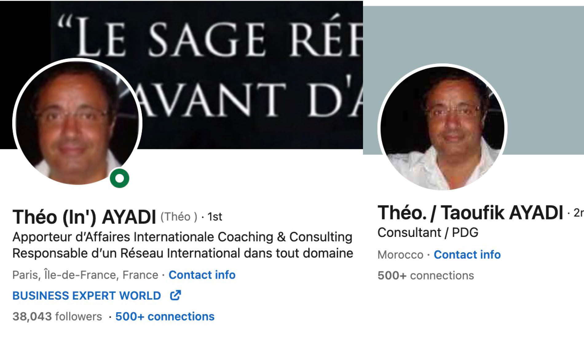 Avez-vous eu affaire à Théo Ayadi, alias Taoufik Ayadi (Business Expert ...