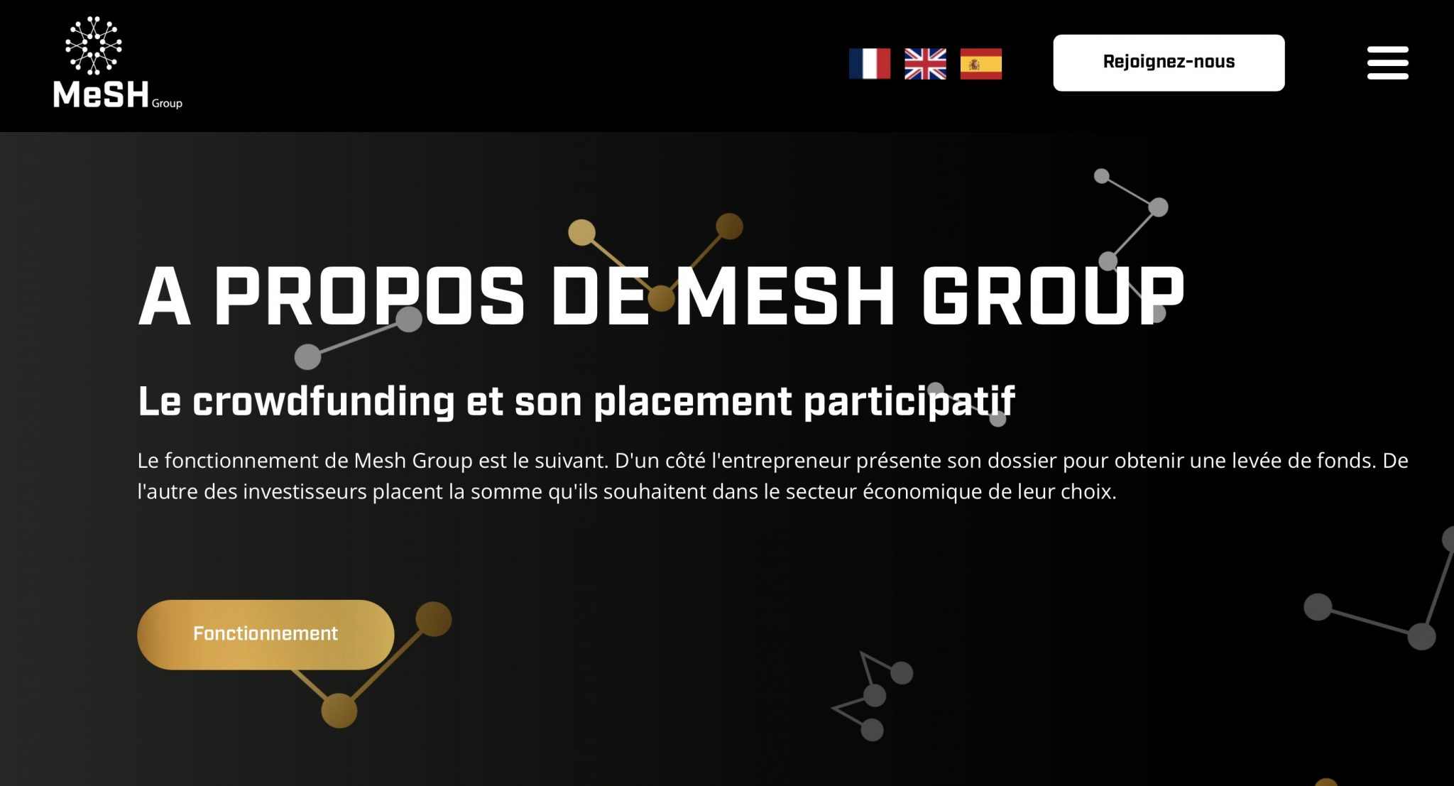 meshgroup.fr (Mesh Group) placé sur liste noire AMF: notre avis
